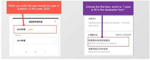 How to make your Individual Income Tax (IIT) declaration and apply for ...